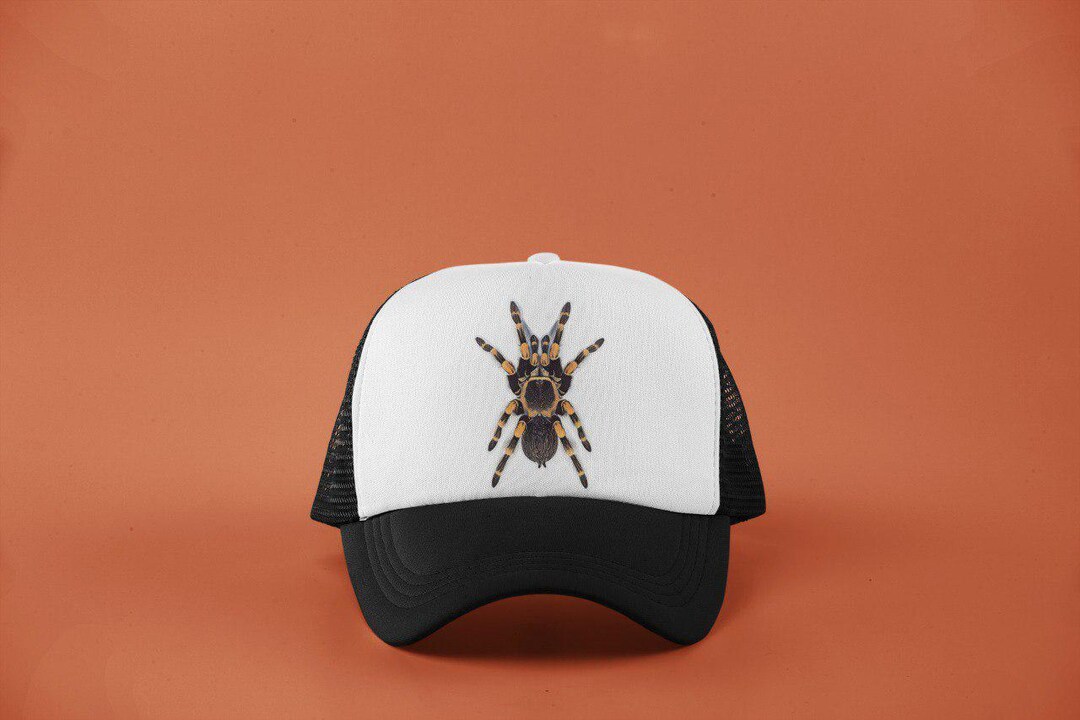 Spider Trucker Hat, Realistic Tarantula Graphic Cap, Creepy Crawly Mesh ...