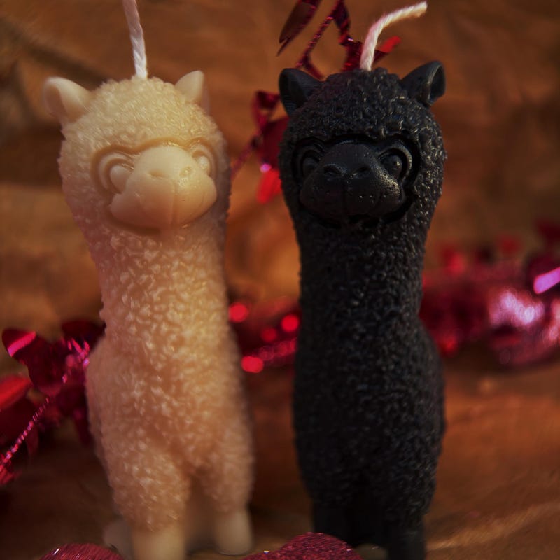 Llama Bachelorette - Etsy