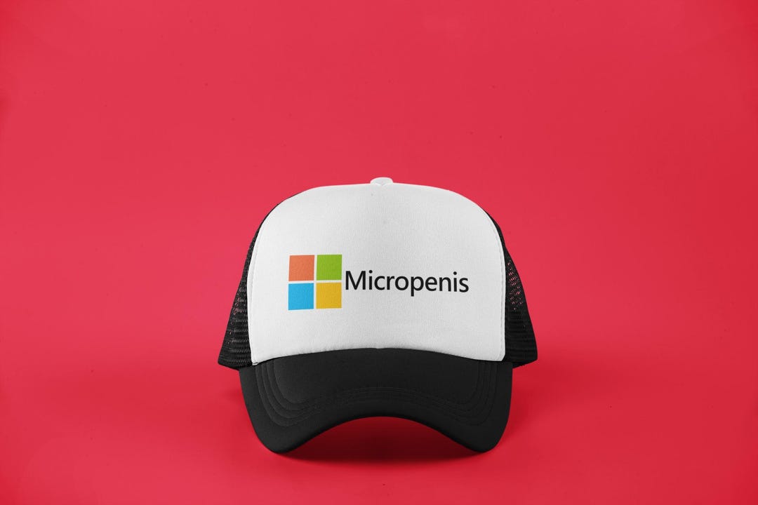 Funny Trucker Hat for Men, Micropenis Joke Hat, Satirical Dad Cap ...