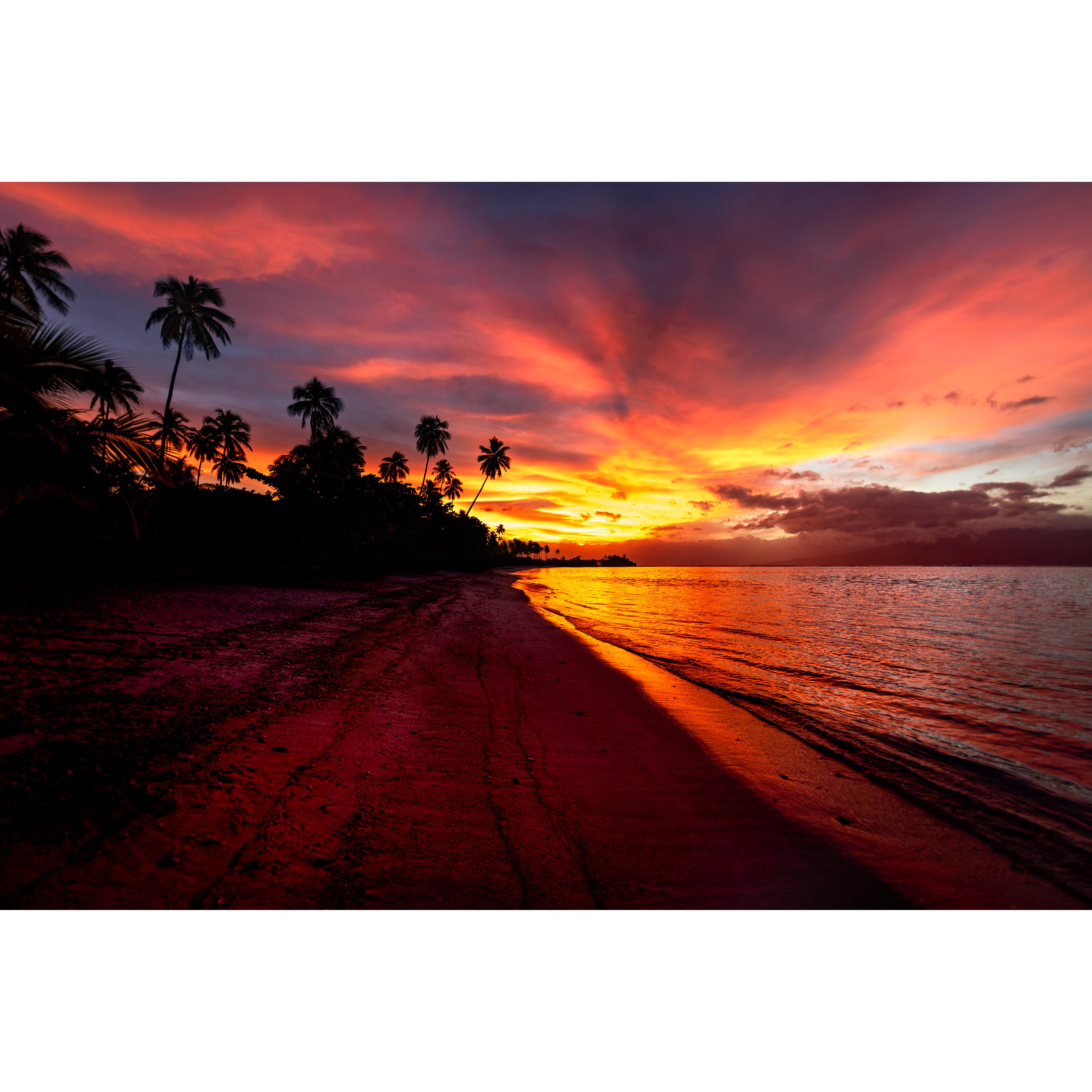 Tropical Sunrise Instant Download Printable Sunrise Wall Art Digital ...