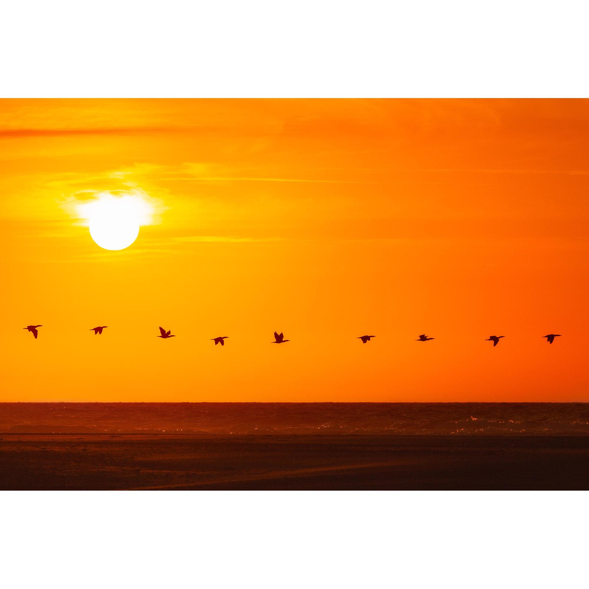 2026 Sunrise Sunset Wall Calendar: Wire-bound A4 Size, Fine Art ...