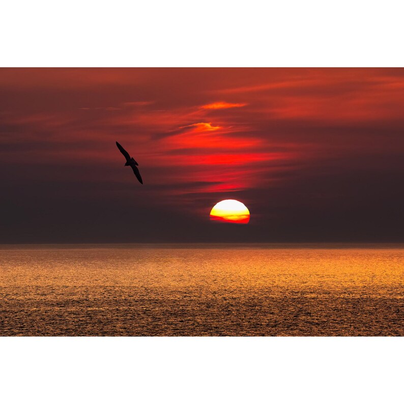 2026 Sunrise Sunset Wall Calendar: Wire-bound A4 Size, Fine Art ...