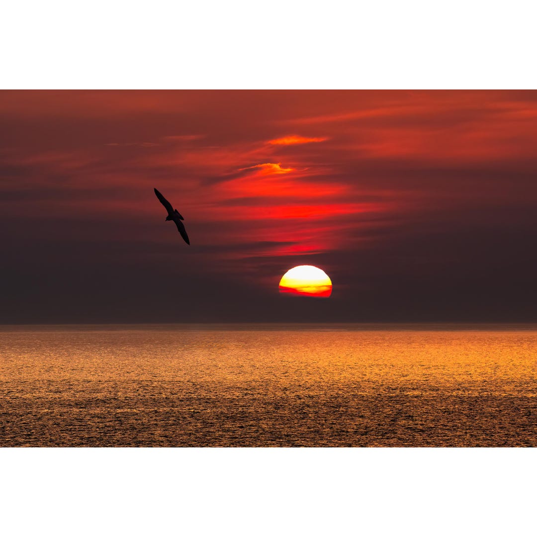 Ocean Sunrise Instant Download Printable Sunrise Wall Art Digital ...
