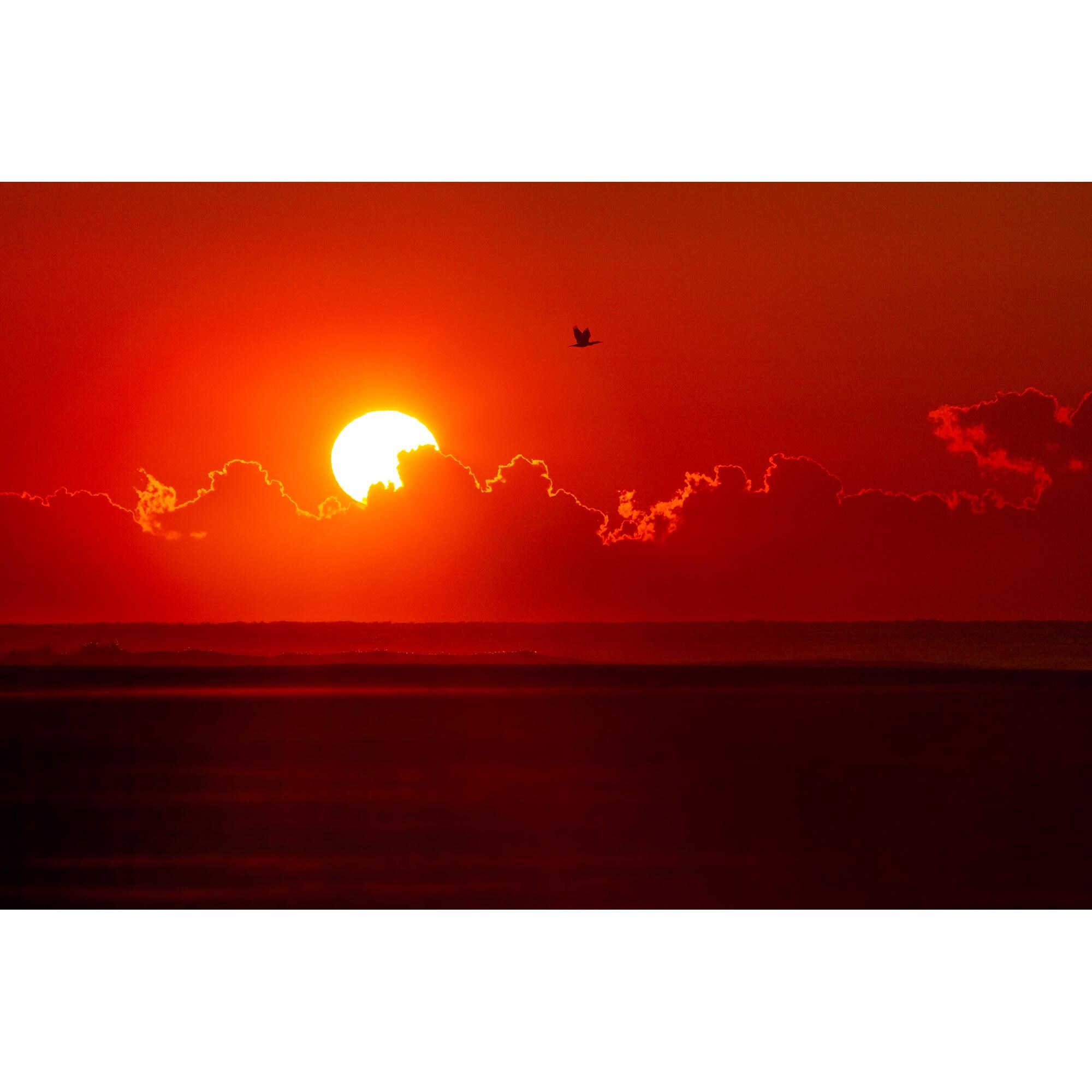 2026 Sunrise Sunset Wall Calendar: Wire-bound A4 Size, Fine Art ...