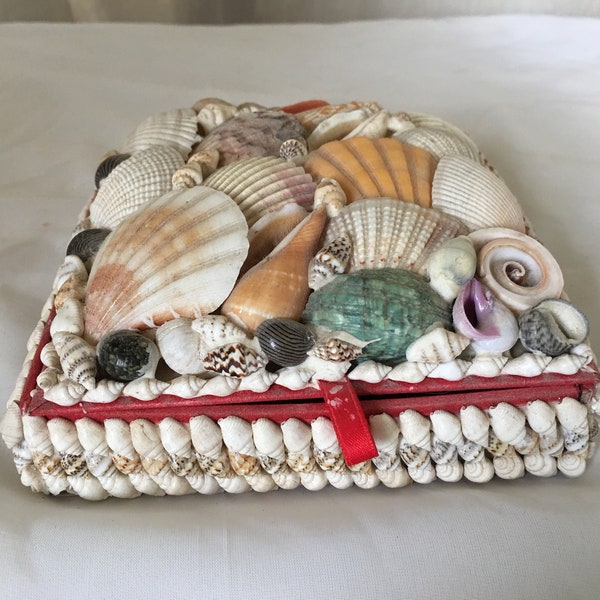 Victorian Shell - Etsy