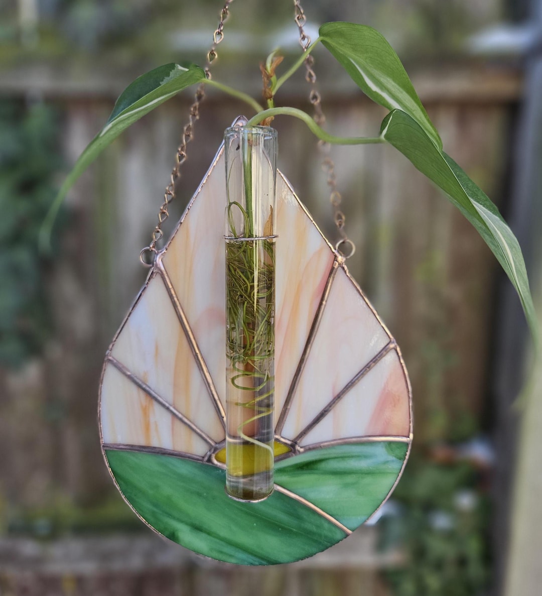 Sundrop Sun Rays Stained Glass Plant Propagation Station - Etsy