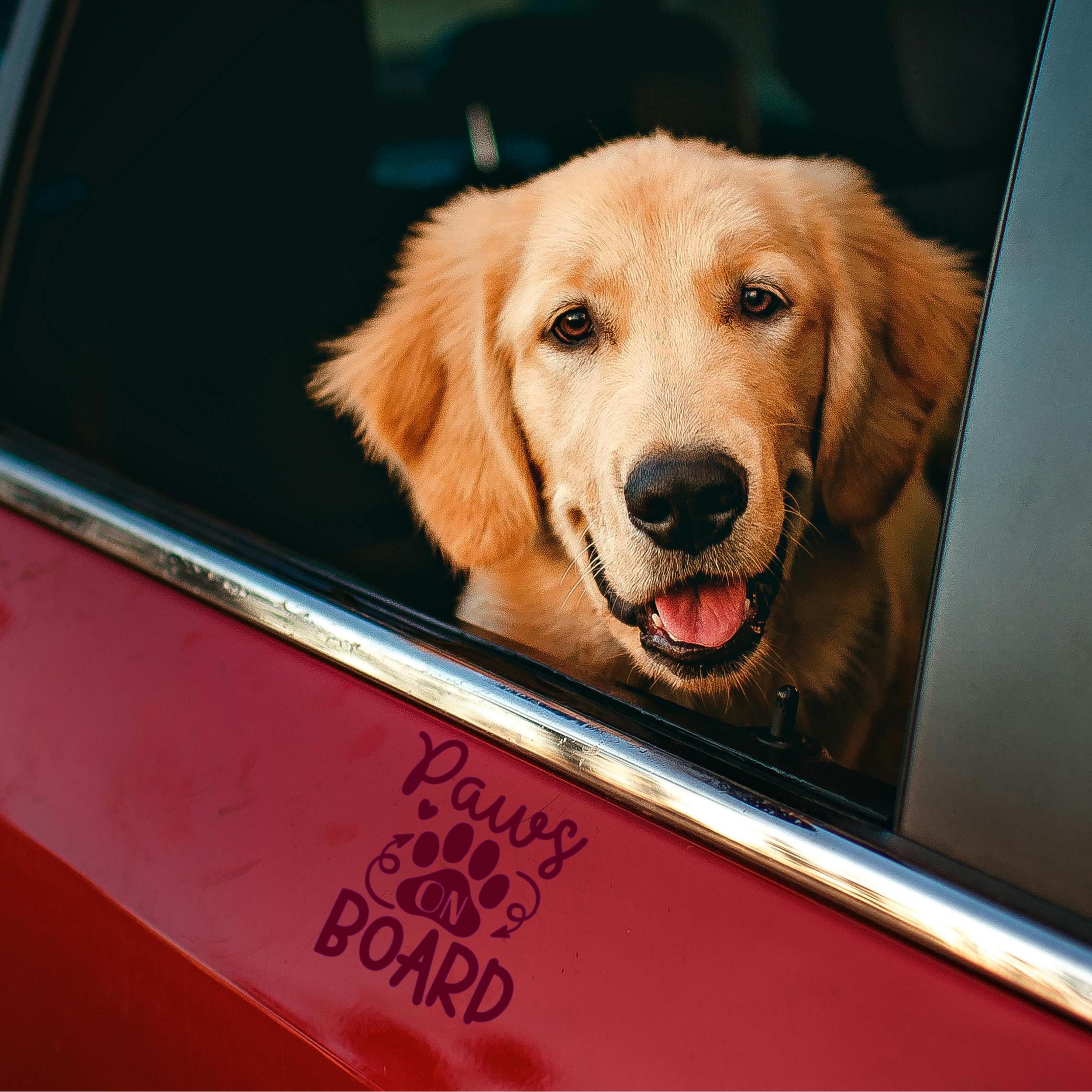 Paws on Board Vinyl Decal: Car, Truck, RV Pet Safety - Etsy