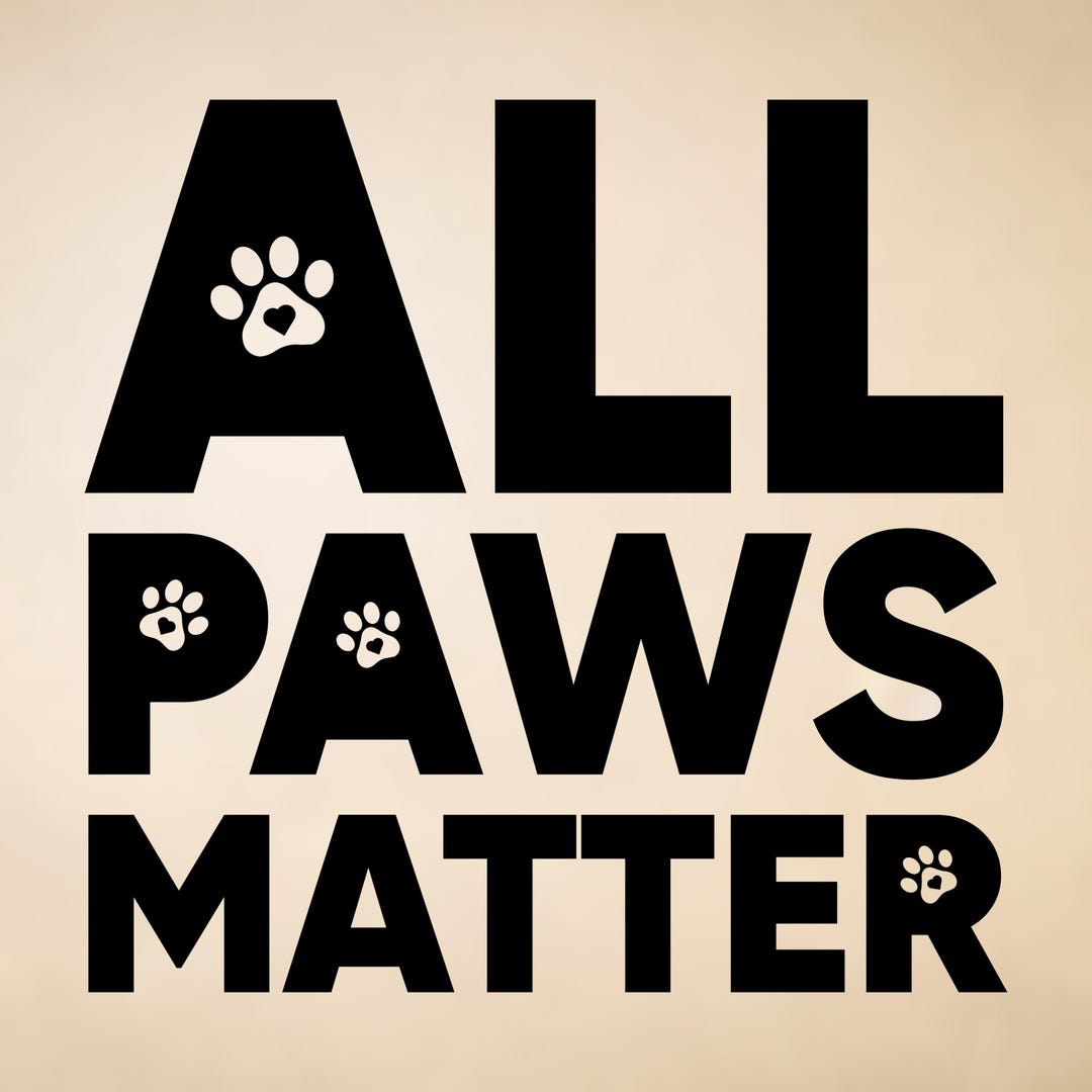 All Paws Matter Vinyl Decal: Dog Paw Print Car Decal Sticker, Pet ...