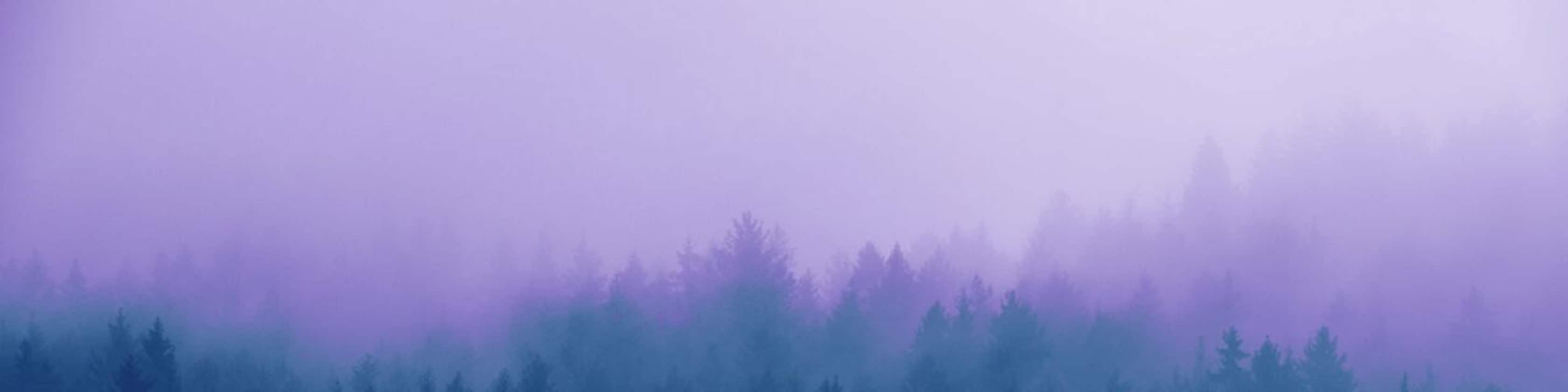 MoonlightForViolet - Etsy