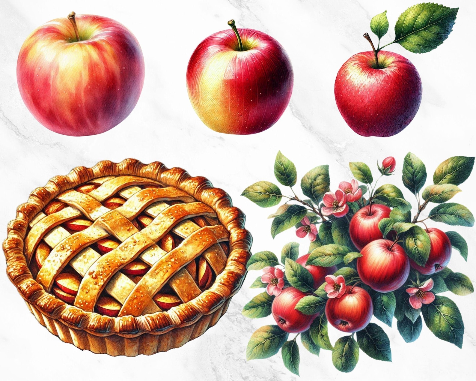 Watercolor Apple Clipart: Rustic Harvest PNG Bundle (commercial Use) - Etsy