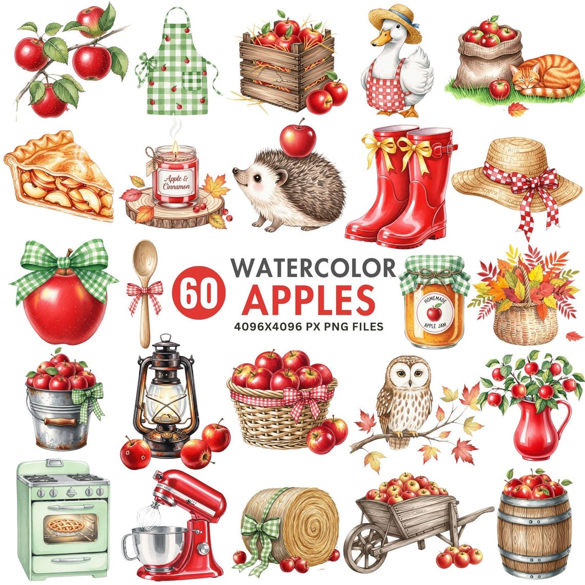 Watercolor Apple Clipart Set: Rustic Orchard Illustrations (PNG Digital ...