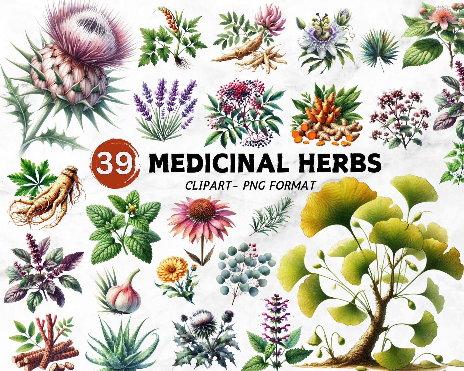 Medicinal Herbs Clipart PNG, Watercolor Herbal Remedies, Botanical Png ...
