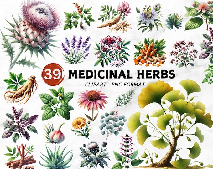 Heilkräuter Clipart, Kräuter Clipart png, Heilpflanzen Clipart ...