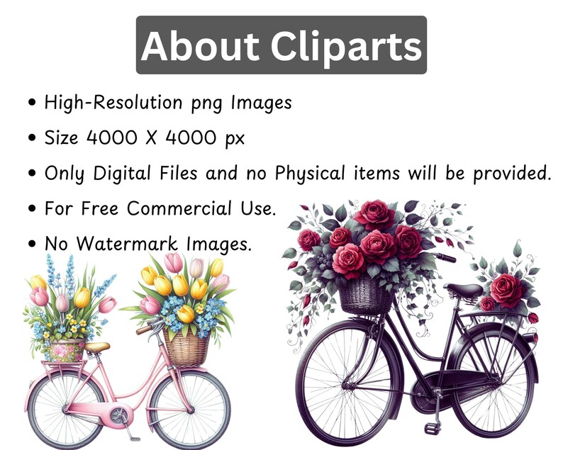 Floral Bicycle Clipart: Vintage Watercolor Bicycle PNG (digital ...