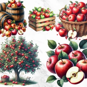 Watercolor Apple Clipart: Rustic Harvest PNG Bundle (commercial Use) - Etsy