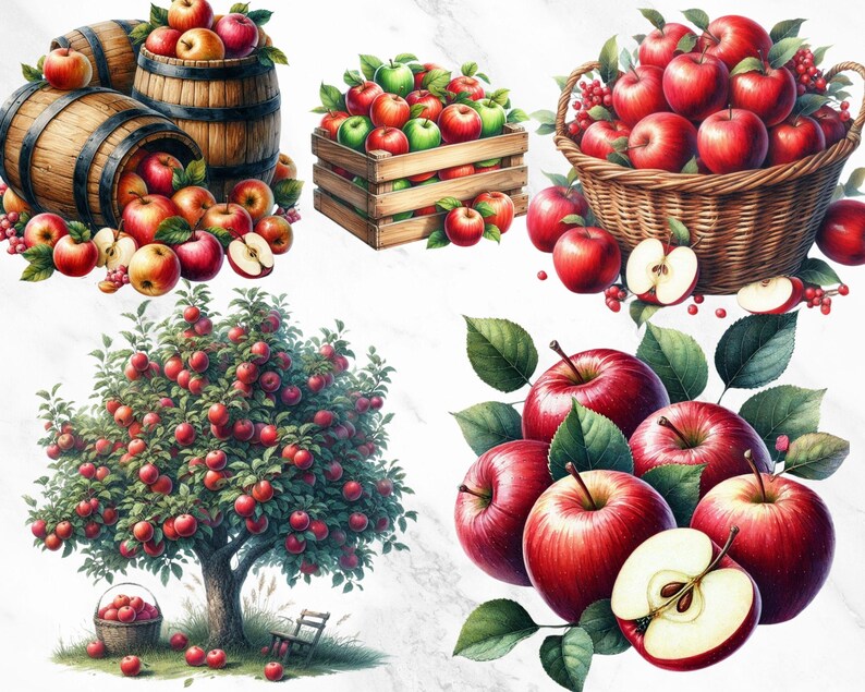 Watercolor Apple Clipart Bundle, Red Apples, Tree Graphics, Rustic ...