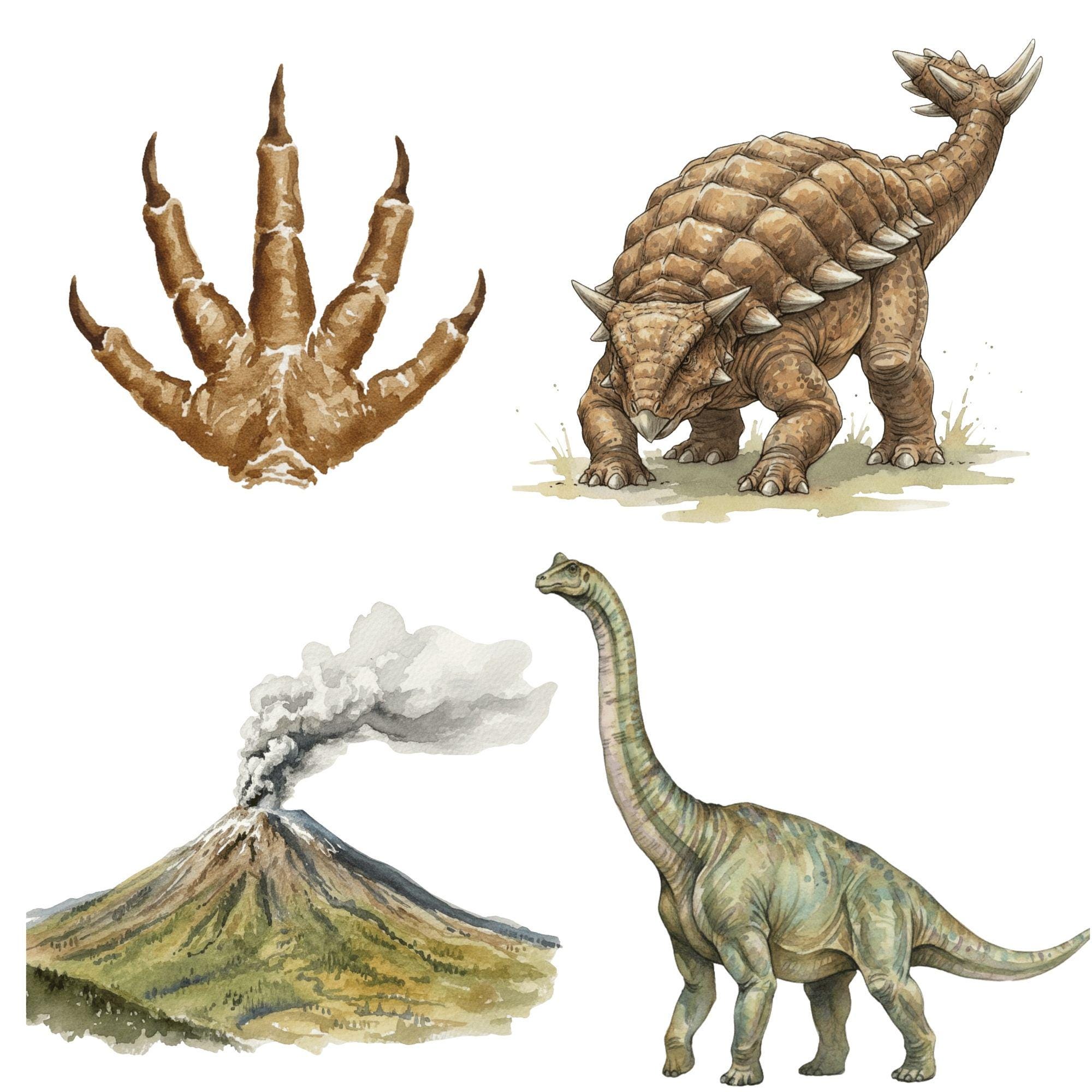 Realistic Dinosaur Clipart, Watercolor Jurassic Dino PNG, T-rex Clipart ...
