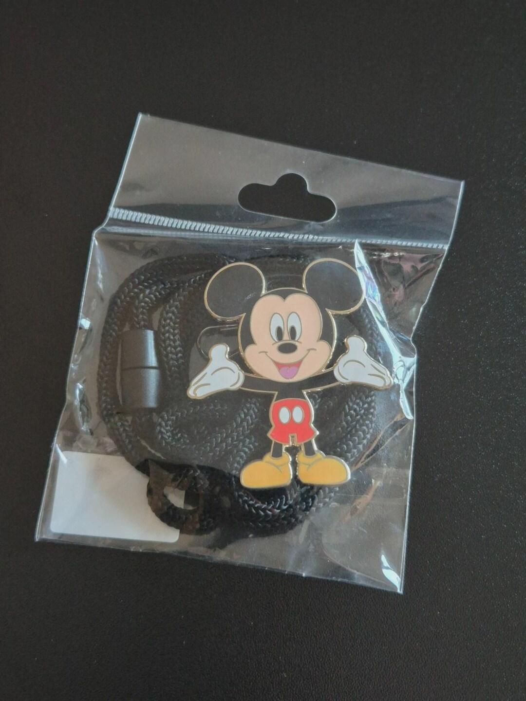 Disney 100 Destination D23 Employee Center Lanyard Mickey Limited ...