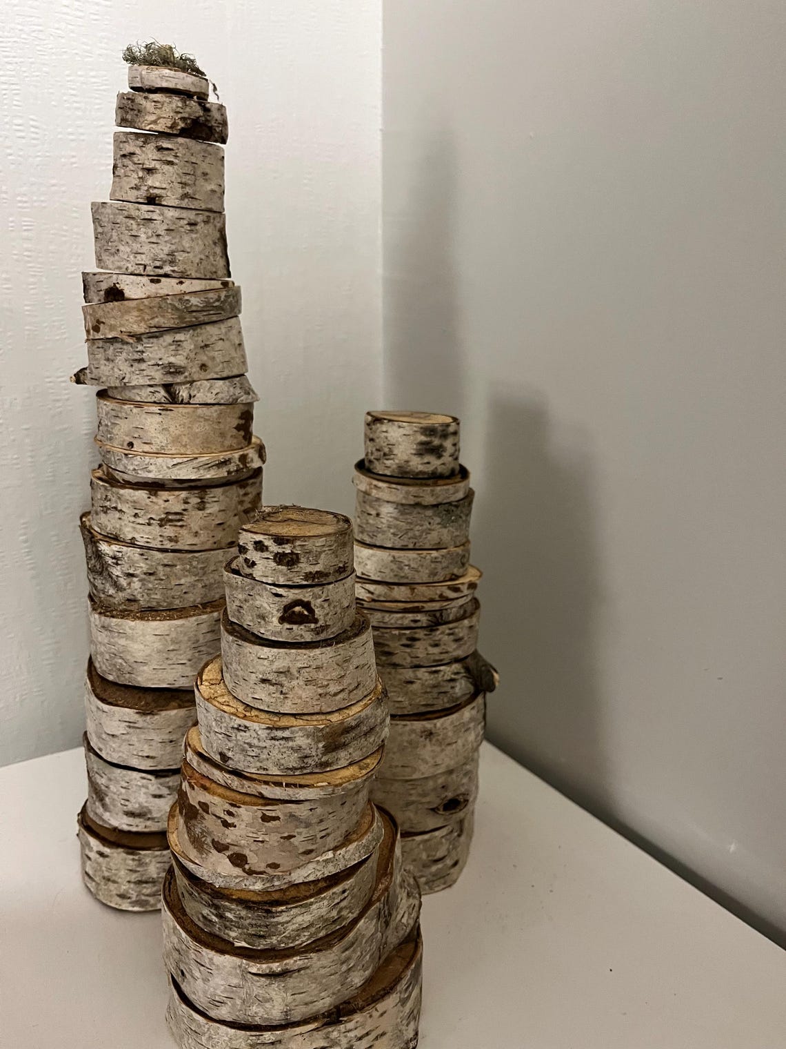 Birch Tree Wood Slice Trees Set of 3 - Etsy