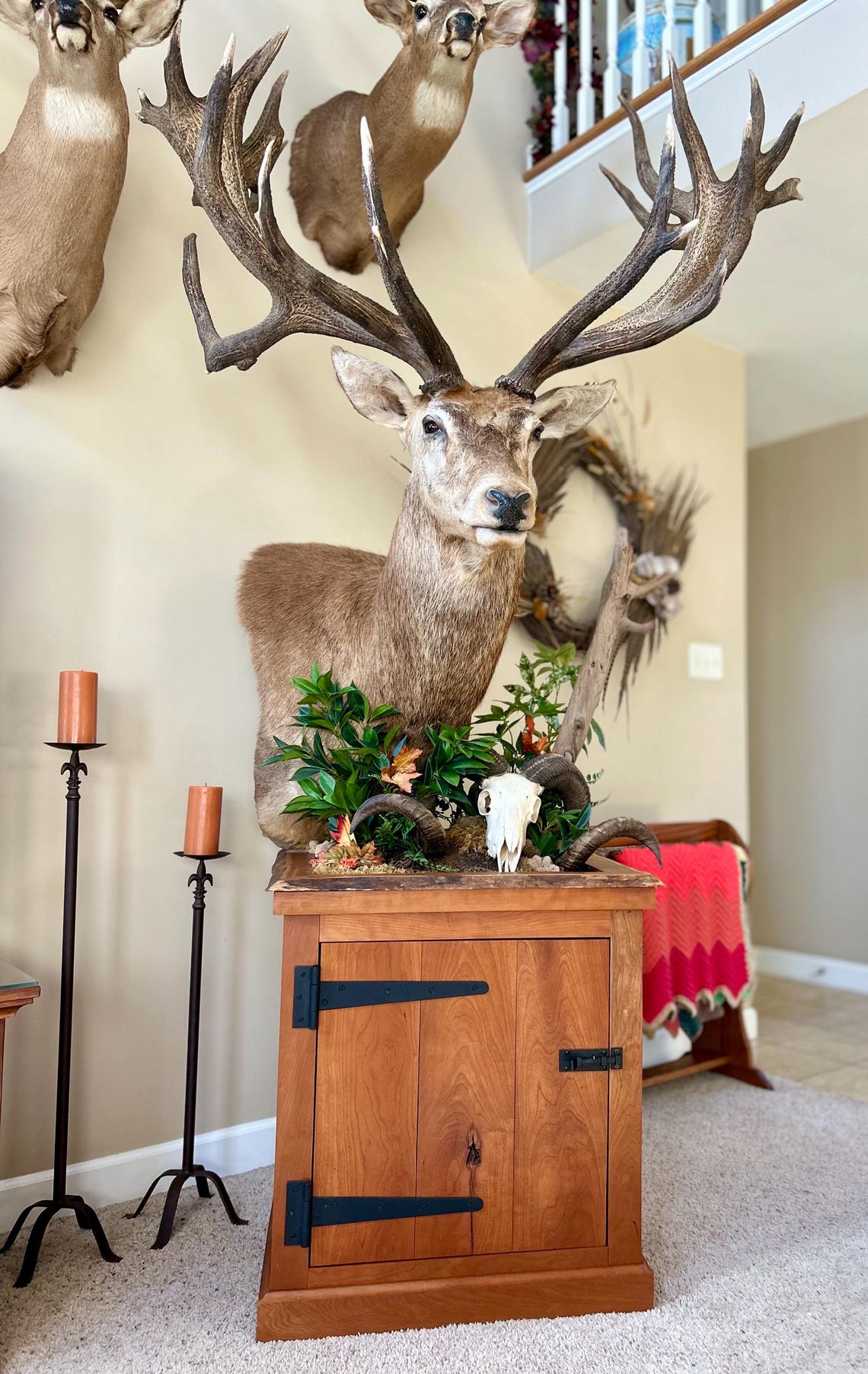 Custom Pedestal / Taxidermy / Mount / Wood / Bar / Cabinet / Trophy ...