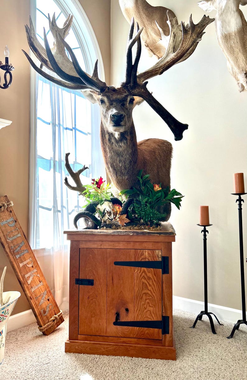 Custom Pedestal / Taxidermy / Mount / Wood / Bar / Cabinet / Trophy ...