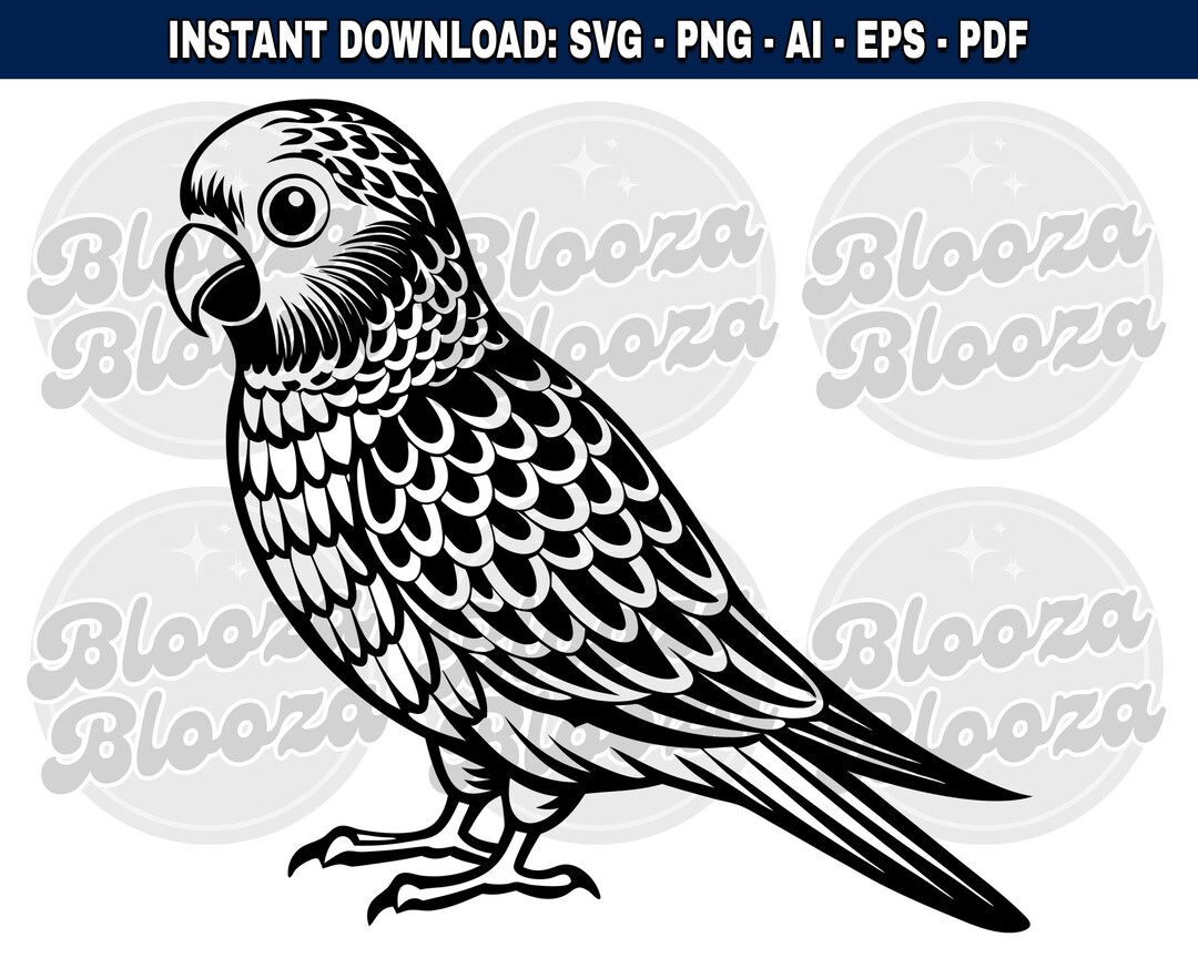 Parakeet Bird Cute Black Instant Clipart Download Design SVG PNG EPS ...