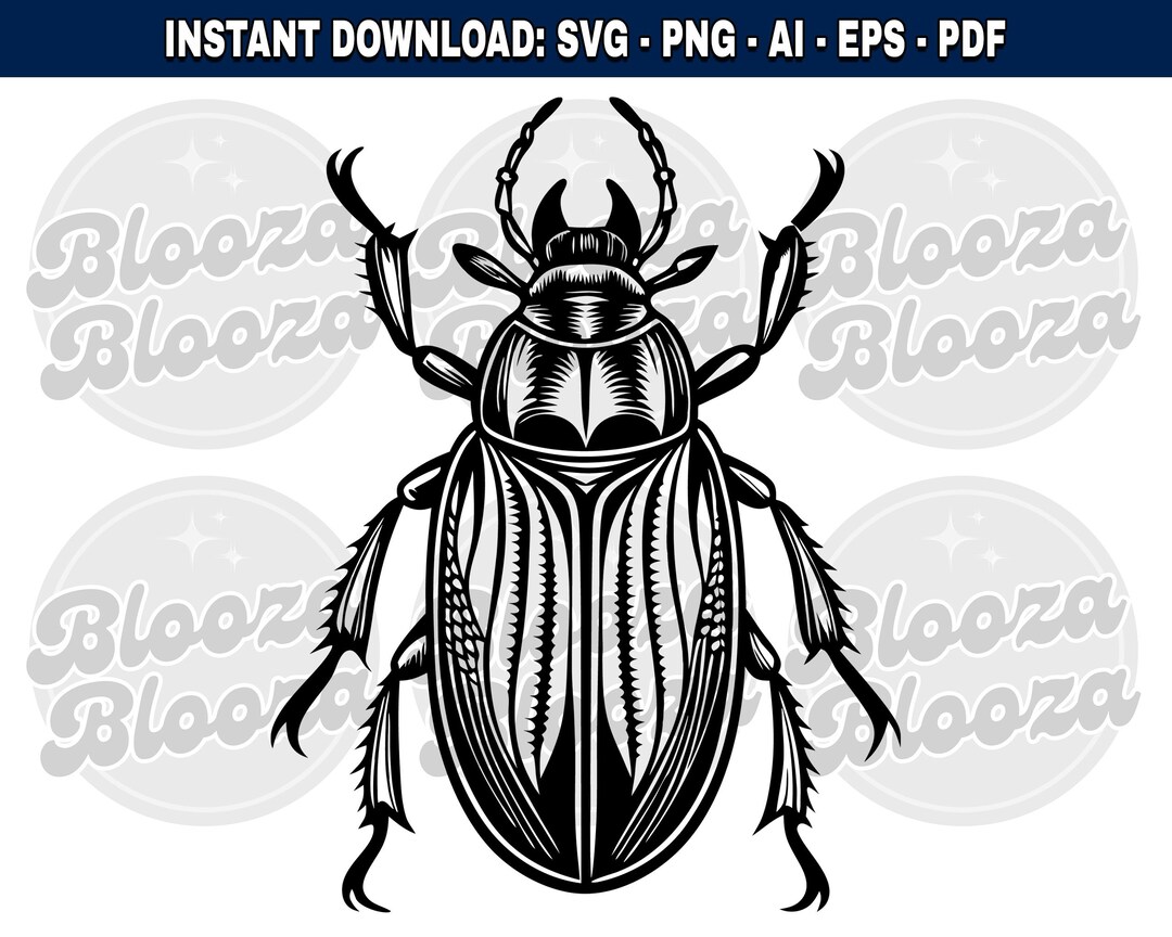 Beetle Top View Black Instant Clipart Download Design SVG PNG EPS Pdf ...