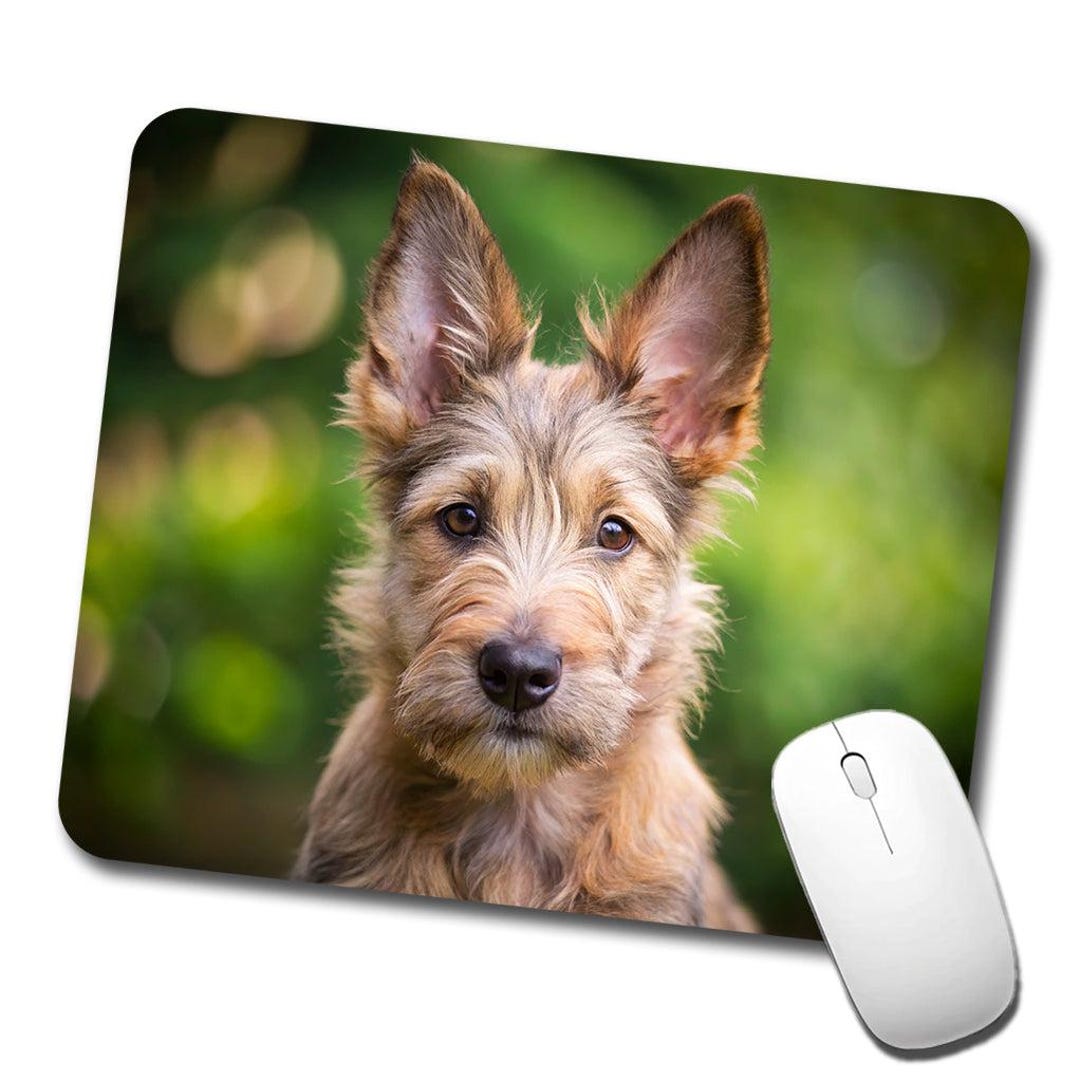 Berger Picard Dog Puppy Photo Low Profile Mouse Pad Mat - Etsy