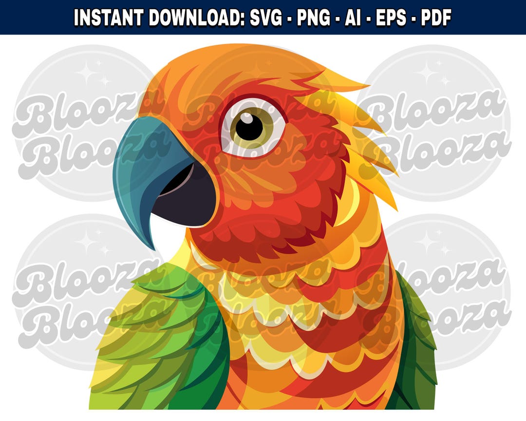 Sun Conure Parrot Head Colorful Instant Clipart Download Design SVG PNG ...
