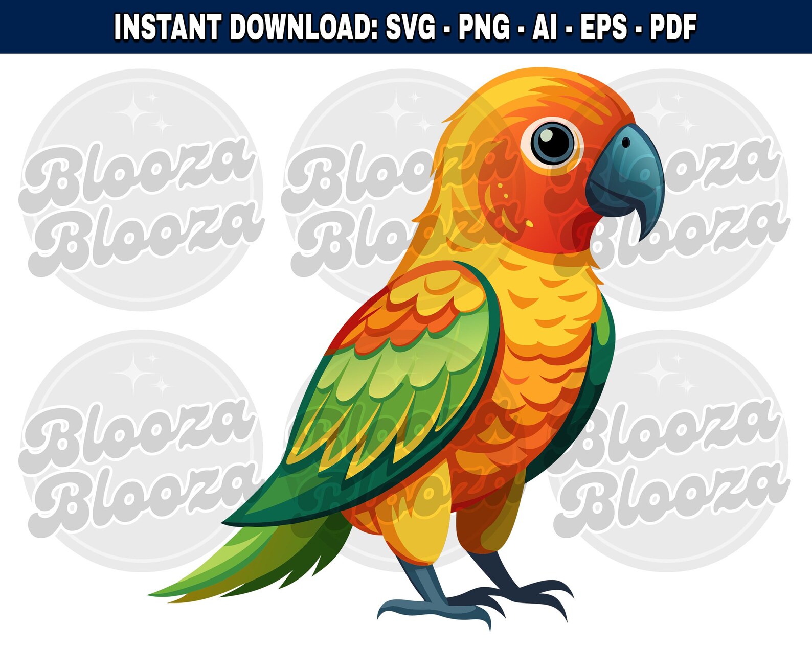 Sun Conure Parrot Standing Colorful Instant Clipart Download Design SVG ...