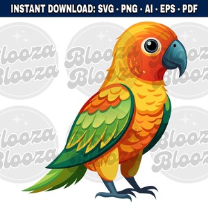 Sun Conure Parrot Standing Colorful Instant Clipart Download Design SVG ...