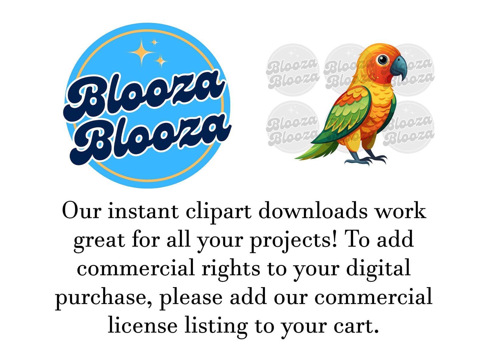 Sun Conure Parrot Standing Colorful Instant Clipart Download Design SVG ...