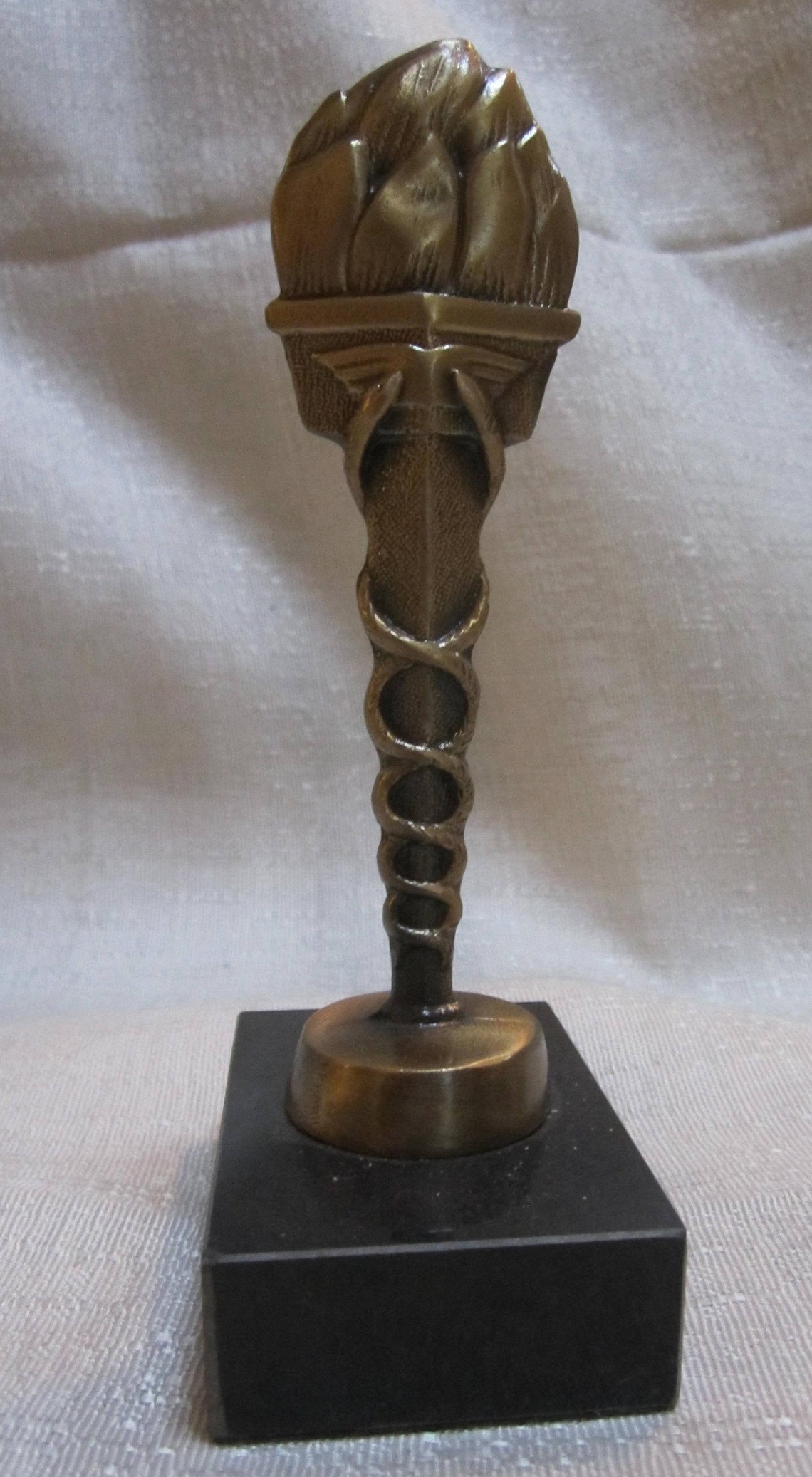 EMS Doctor or Nurse Trophy or Paperweight 6 Satin Brass - Etsy