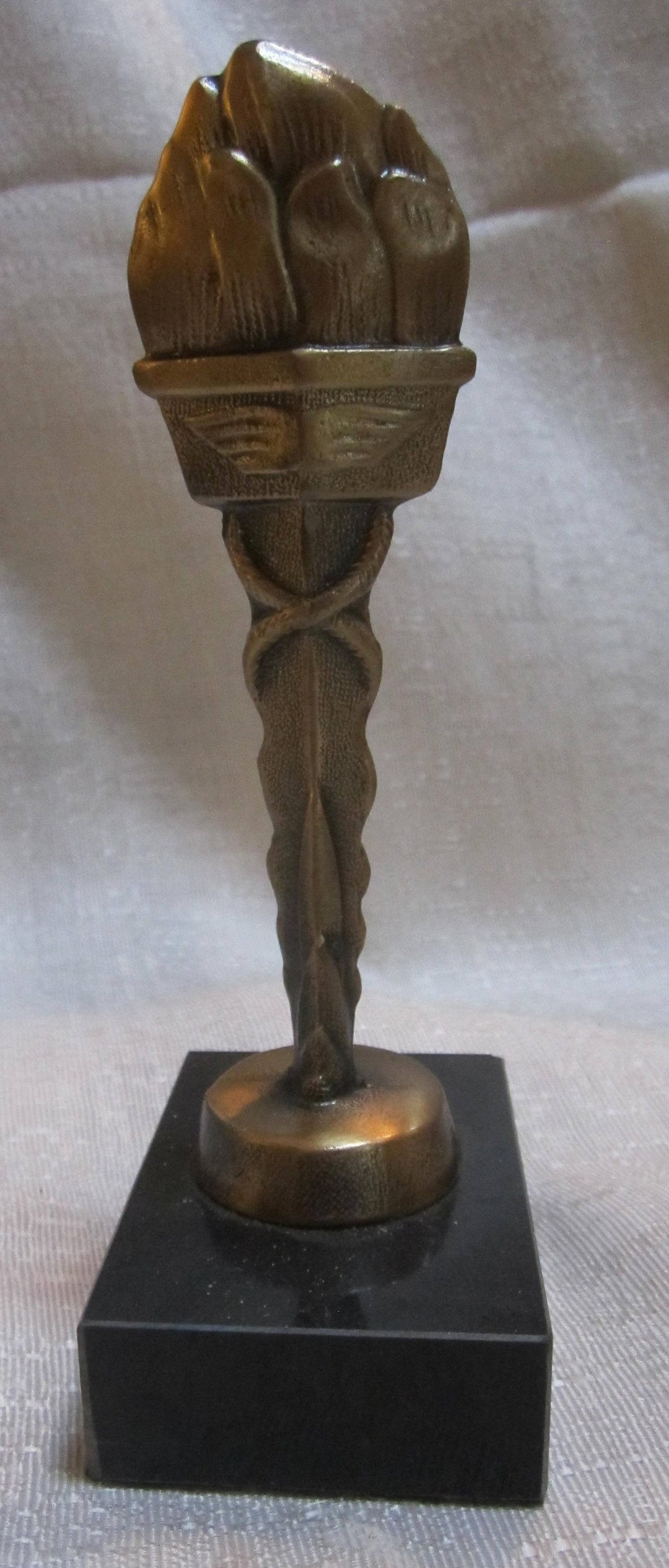 EMS Doctor or Nurse Trophy or Paperweight 6 Satin Brass - Etsy