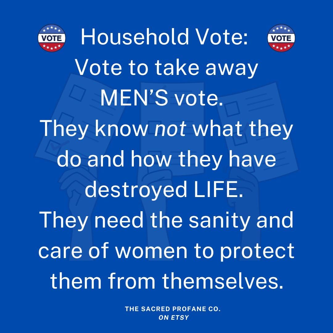 Unapologetically Witty Meme for Household Vote: 'take Man's Vote Away ...