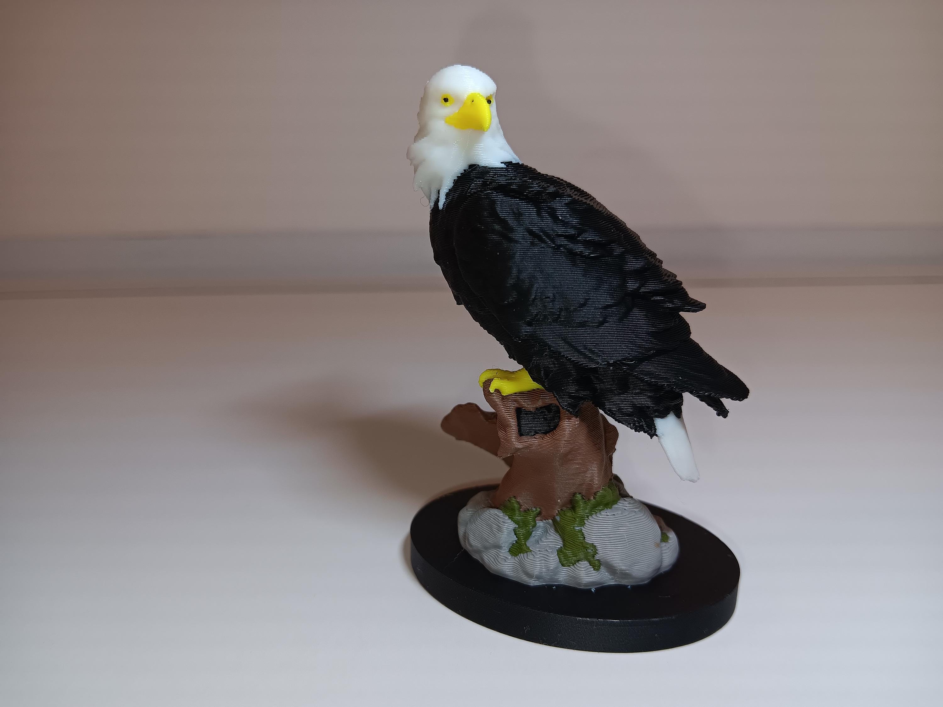 3D Printed Multicolored Eagle - Etsy