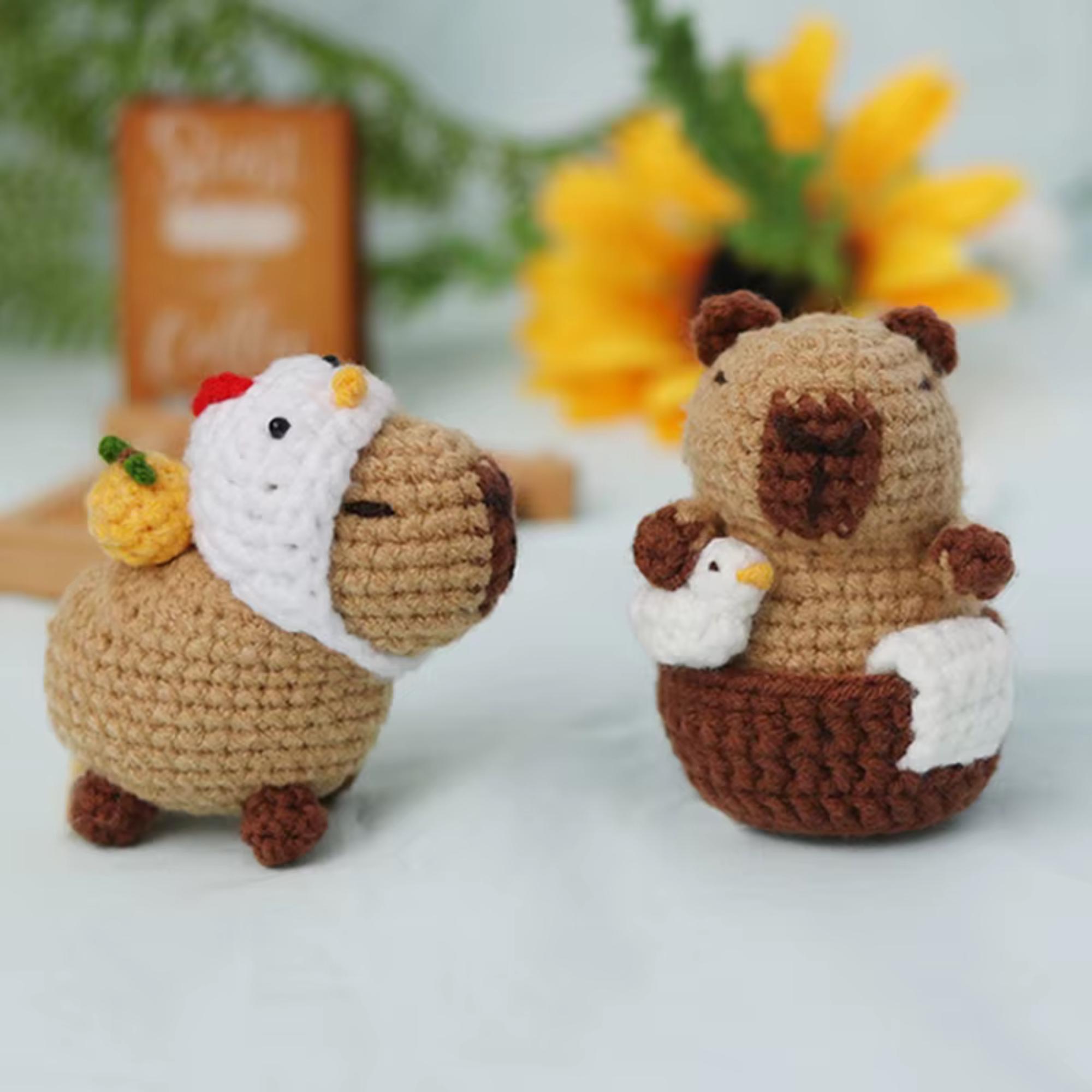 Capybara DIY Crochet Kit – All Inclusive Set With Instructions – Choose ...