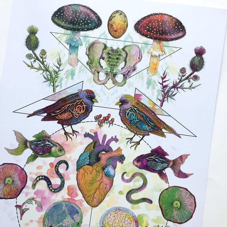 Limited Edition 'meet My Maker 2' Fine Art Print A3 - Etsy