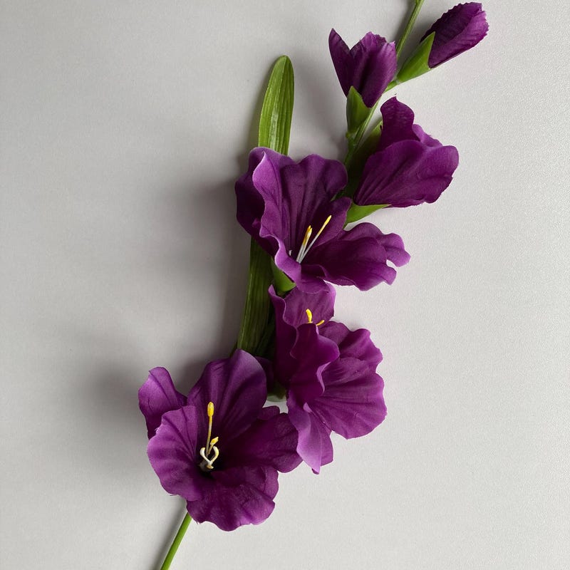 Floral Gladiolus Fabric - Etsy UK