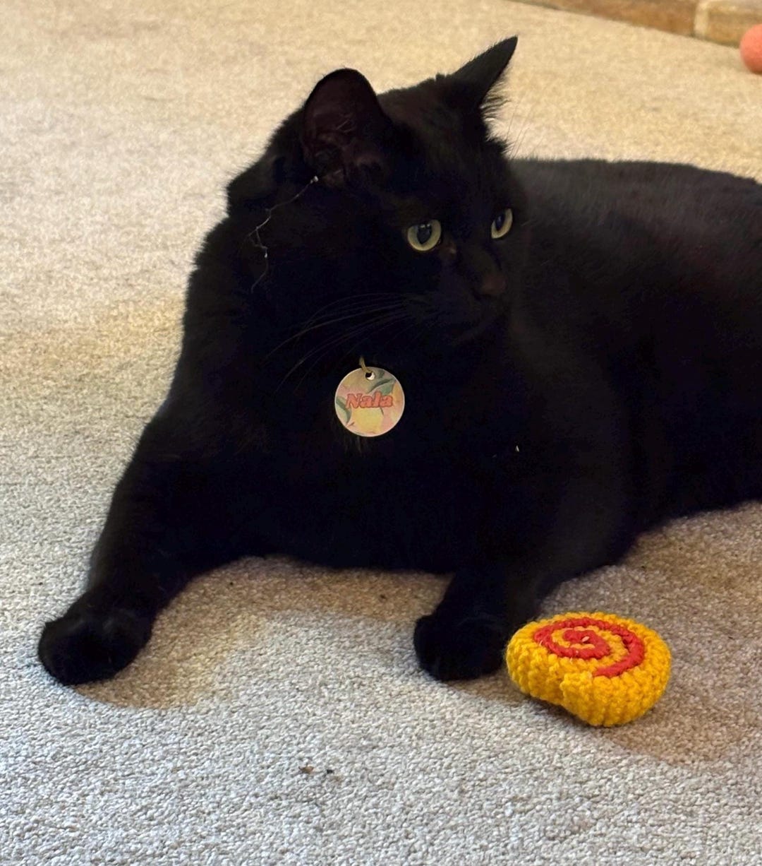 Roly Poly Cake Cat Toys - Etsy