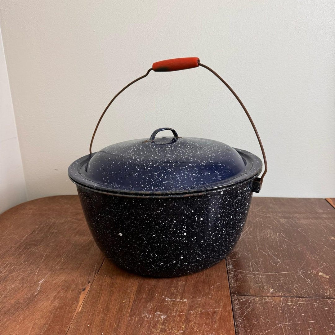 Vintage Graniteware Blue Speckled Cold Packer Water Canning Pot & Lid ...