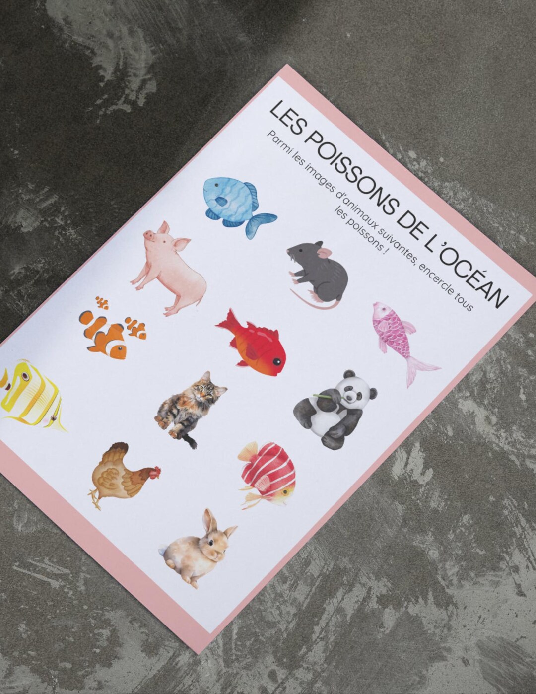 Spot the Odd One Out Activities for Kids - Etsy