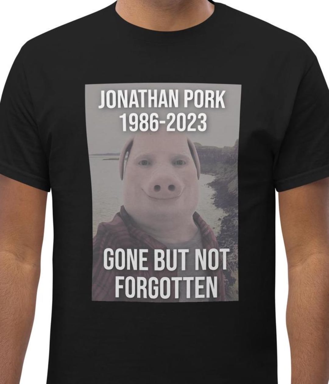 John Pork Tribute Funny Meme T Shirt, Funny Alpha Sigma Viral Internet ...