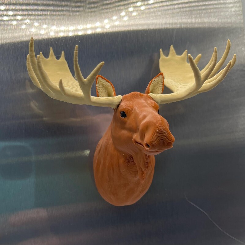 Moose Kitchen - Etsy