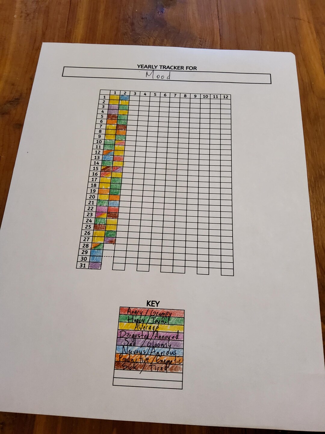 Yearly Tracker - Etsy