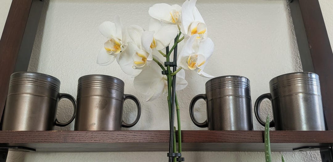 Food Network Stoneware Microwave Safe Coffee/tea Mugs, Set of 4 - Etsy