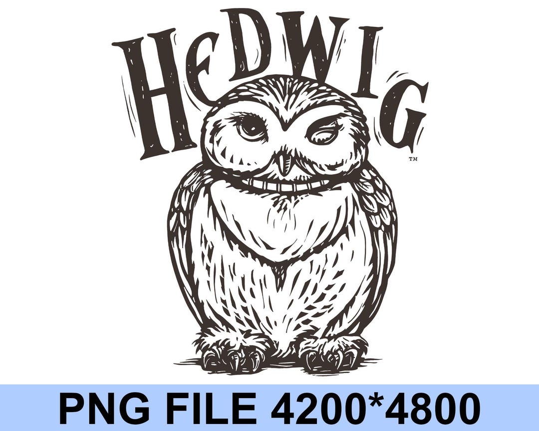 Cute Hedwig Png, Magic Wizard School Movie PNG, Wizarding World PNG ...