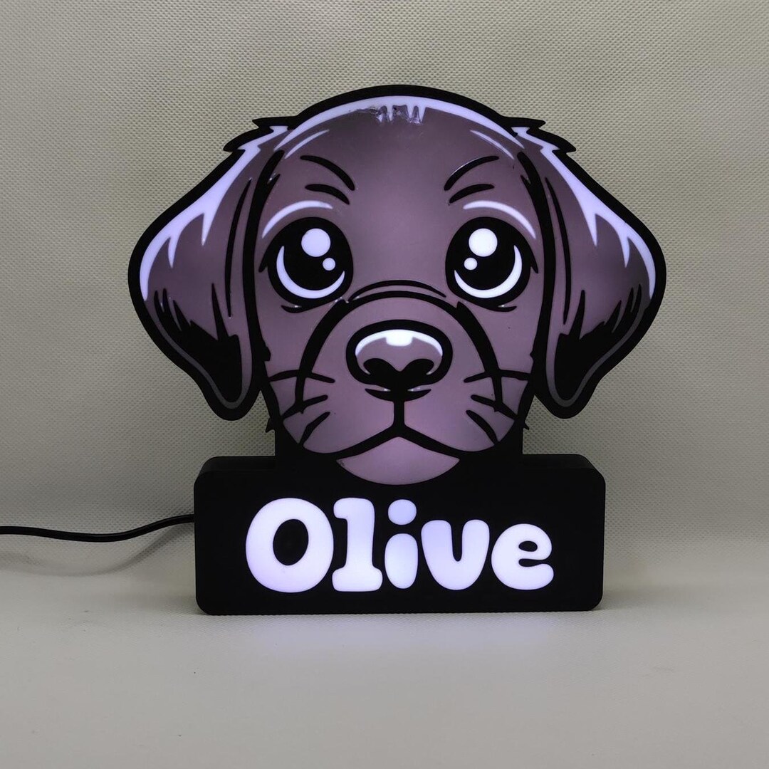 Custom Pet Labrador Puppy LED Lamp – Personalized Pet Name Lightbox for ...