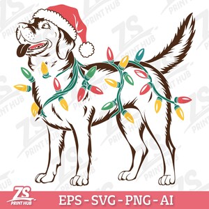 Christmas Labrador Svg, Christmas Lights Santa Labrador Png, Funny ...