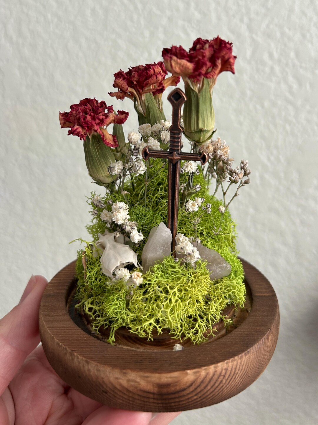Bell Dome Oddity - Etsy